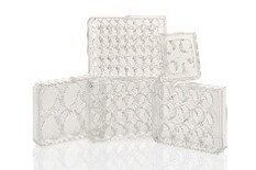 Thermo Scientific Nunc Adherent Cell Culture Surface | Thermo Fisher ...