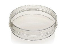 Thermo Scientific Nunc Adherent Cell Culture Surface | Thermo Fisher ...