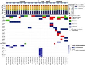 OncoPro Tumoroid Cell Lines | Thermo Fisher Scientific - CN
