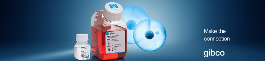 L-谷氨酰胺和 GlutaMAX 添加剂 | 赛默飞 | Thermo Fisher Scientific - CN