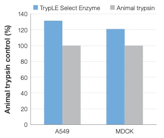 TrypLE 酶 | Thermo Fisher Scientific - CN