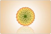 TrypLE™表达和TrypLE™选择 | Thermo Fisher Scientific - CN