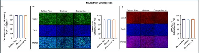 Geltrex Matrix Products | Thermo Fisher Scientific - CN