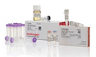 GeneArt Products and Services | Thermo Fisher Scientific - CN