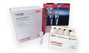 GeneArt Products and Services | Thermo Fisher Scientific - CN