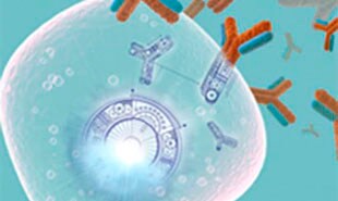 GeneArt Products and Services | Thermo Fisher Scientific - CN