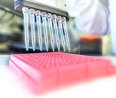 Next-Generation Sequencing Illumina Workflow–4 Key Steps | Thermo ...