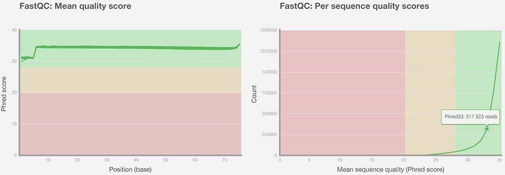Illumina平台的NGS数据分析 - 概述与工作流程-赛默飞 | Thermo Fisher Scientific - CN