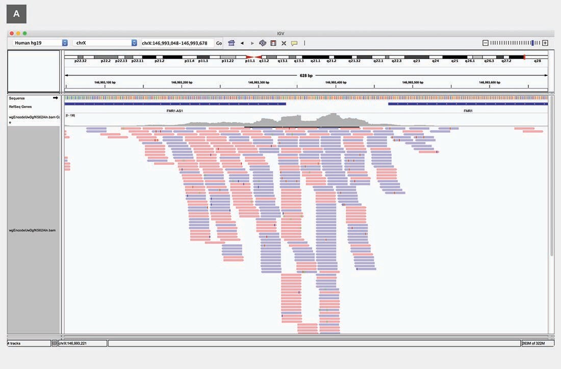 NGS Data Analysis for Illumina Platform—Overview and Workflow | Thermo ...