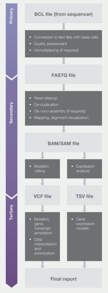 NGS Data Analysis for Illumina Platform—Overview and Workflow | Thermo ...