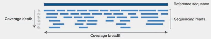 NGS Data Analysis for Illumina Platform—Overview and Workflow | Thermo ...