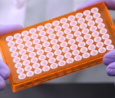 选择PCR/qPCR耗材主要考虑因素 | Thermo Fisher Scientific - CN