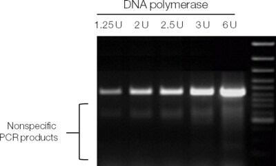 pcr实验组分详细-pcr反应体系-赛默飞 | Thermo Fisher Scientific - CN