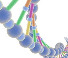 Cloning Methods | Thermo Fisher Scientific - CN