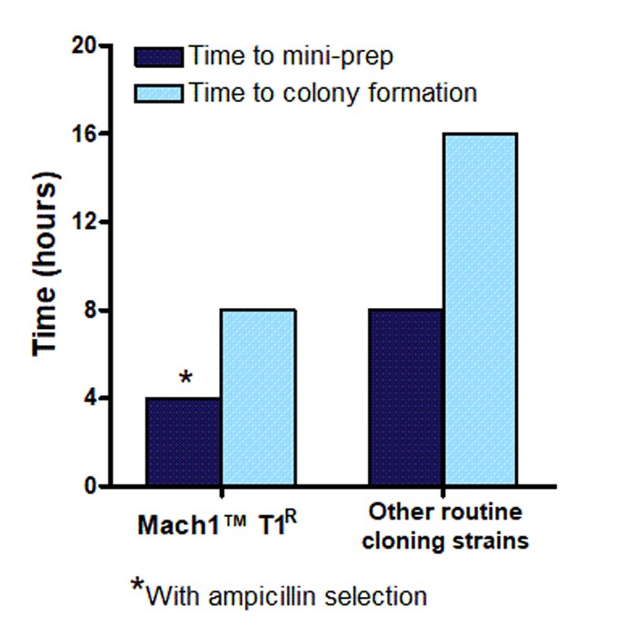 Mach1 感受态细胞 | Thermo Fisher Scientific - CN