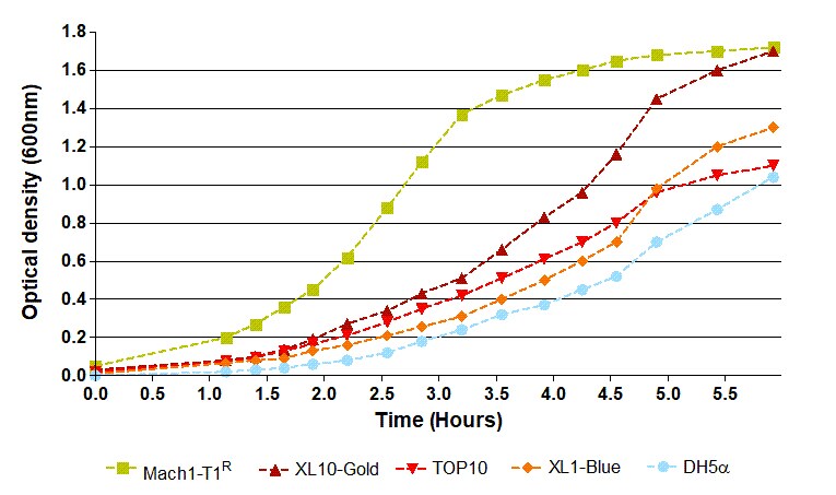Mach1 Competent Cells | Thermo Fisher Scientific - CN