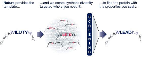 GeneArt DNA密码子优化-TRIM技术-突变文库-赛默飞 | Thermo Fisher Scientific - CN