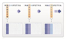 GeneArt 位点饱和诱变 | Thermo Fisher Scientific - CN