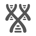 GeneArt基因和蛋白合成服务 | Thermo Fisher Scientific - CN