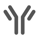 GeneArt基因和蛋白合成服务 | Thermo Fisher Scientific - CN