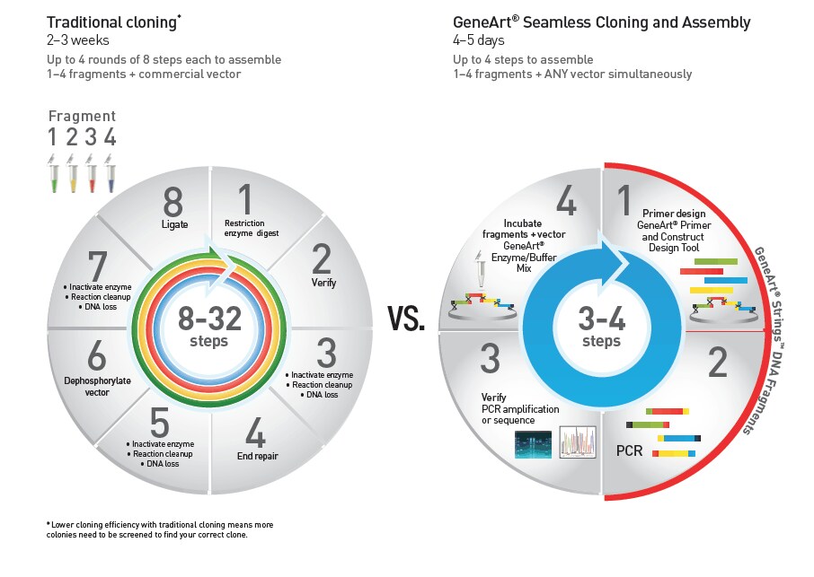 GeneArt 无缝克隆和组装 | Thermo Fisher Scientific - CN
