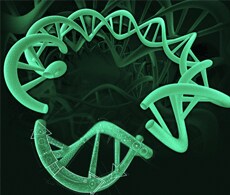 GeneArt Elements Vector Construction | Thermo Fisher Scientific - CN