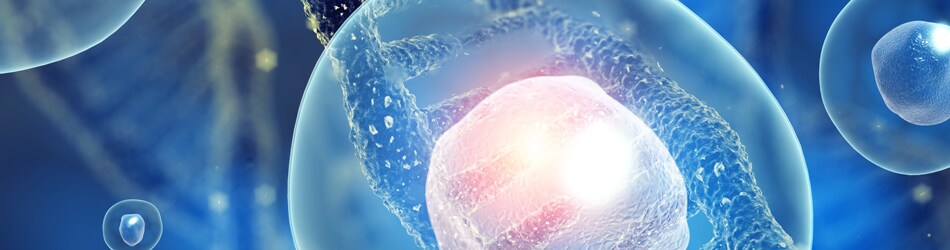 Disease Modeling | Thermo Fisher Scientific - CN