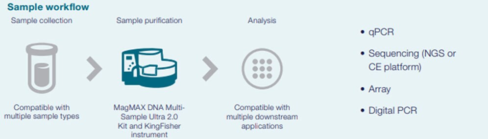 MagMAX DNA 多样本 Ultra 试剂盒 | Thermo Fisher Scientific - CN