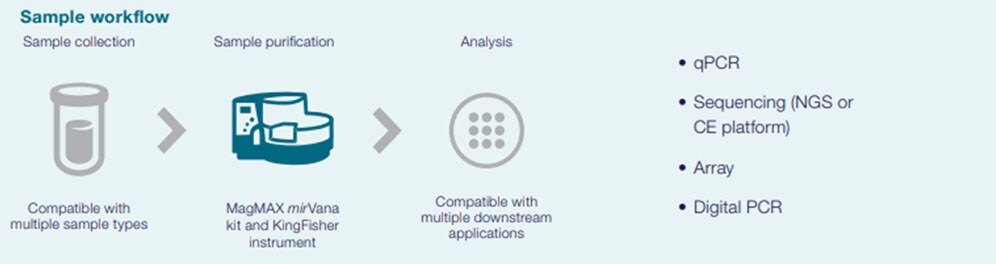 MagMAX mirVana Total RNA Isolation Kit | Thermo Fisher Scientific - CN