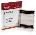 E-Gel EX 预制琼脂糖凝胶 | Thermo Fisher Scientific - CN
