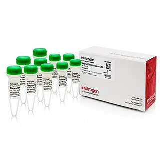 RNase-Free Buffers and Reagents | Thermo Fisher Scientific - CN