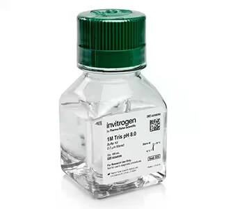 RNase-Free Buffers and Reagents | Thermo Fisher Scientific - CN