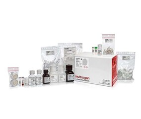 RNA Stabilizers | Thermo Fisher Scientific - CN