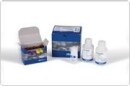 Cells-to-CpG Bisulfite Conversion Kit | Thermo Fisher Scientific - CN