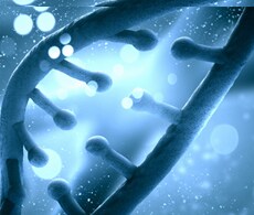 miRNA分析 | 赛默飞 | Thermo Fisher Scientific - CN | Thermo Fisher ...