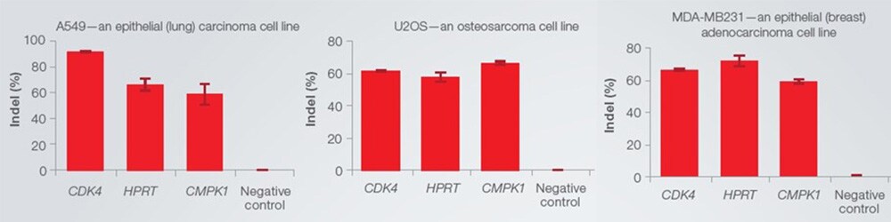 Cas9 Proteins | Thermo Fisher Scientific - CN