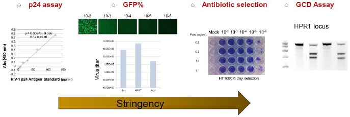 Arrayed Lentiviral CRISPR Library—Powerful High-Throughput Loss-of ...