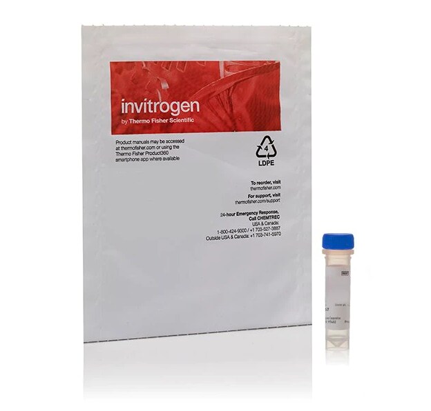 酶标仪检测 | Thermo Fisher Scientific - CN