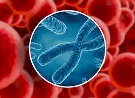 CytoScan HD Suite for Hematological Cancer Sample Profiling | Thermo ...