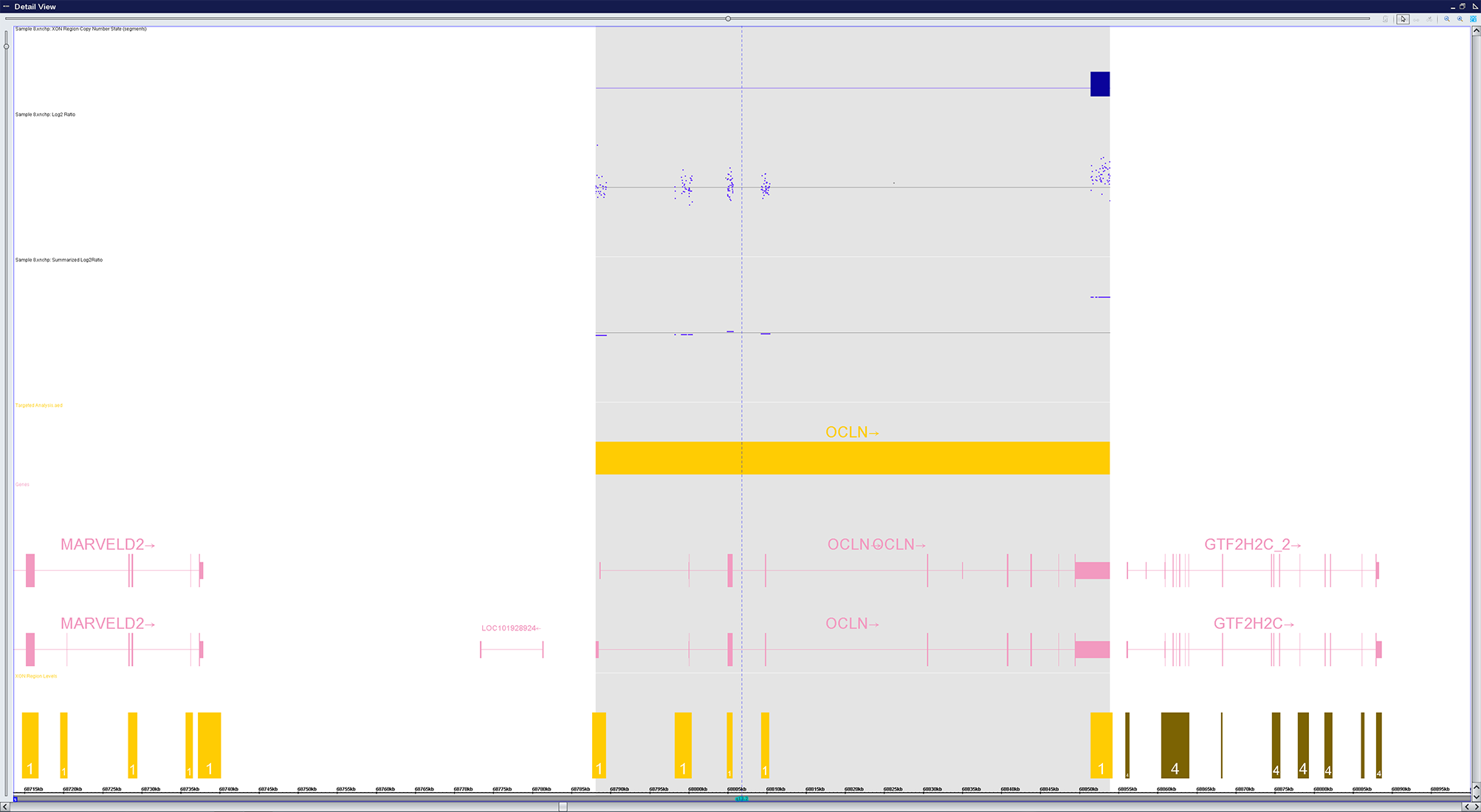 CytoScan XON 套件 | 赛默飞 | Thermo Fisher Scientific - CN
