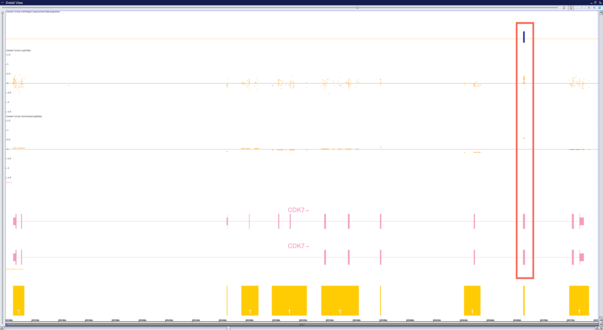 CytoScan XON 套件 | 赛默飞 | Thermo Fisher Scientific - CN