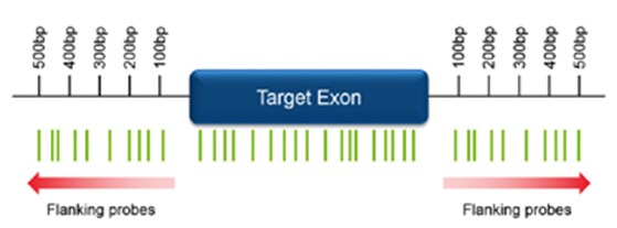 CytoScan XON 套件 | 赛默飞 | Thermo Fisher Scientific - CN