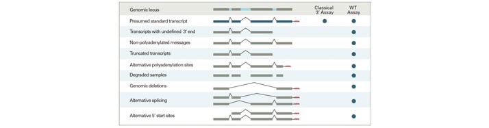 利用微阵列的转录组谱分析 | Thermo Fisher Scientific - CN