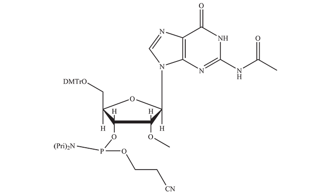 2'-修饰磷酰胺-赛默飞 | Thermo Fisher Scientific - CN