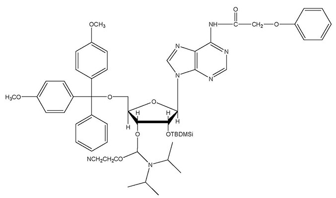RNA Phosphoramidites | Thermo Fisher Scientific - CN