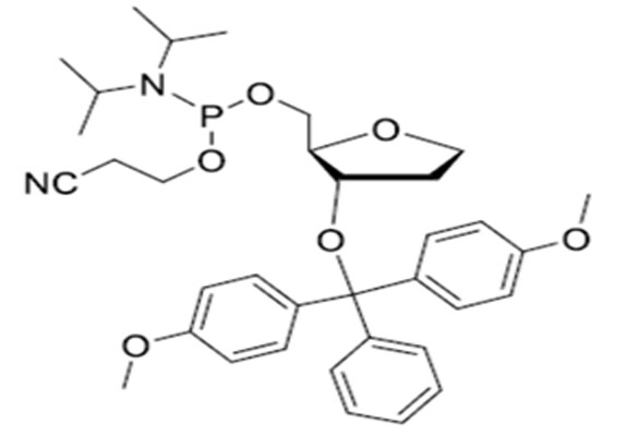 Structural Phosphoramidites | Thermo Fisher Scientific - CN