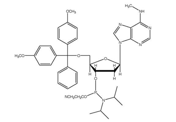 Structural Phosphoramidites | Thermo Fisher Scientific - CN