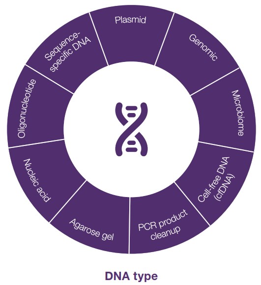 实现高效 PCR 的 5 个步骤-赛默飞 | Thermo Fisher Scientific - CN