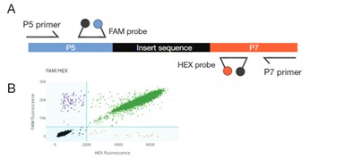 Digital PCR Applications: Next-Generation Sequencing Library Quantification | Thermo Fisher ...