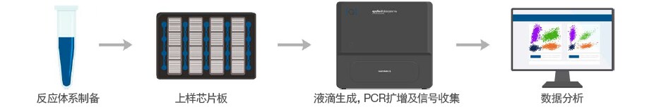 QuantStudio Absolute Q | Thermo Fisher Scientific - CN